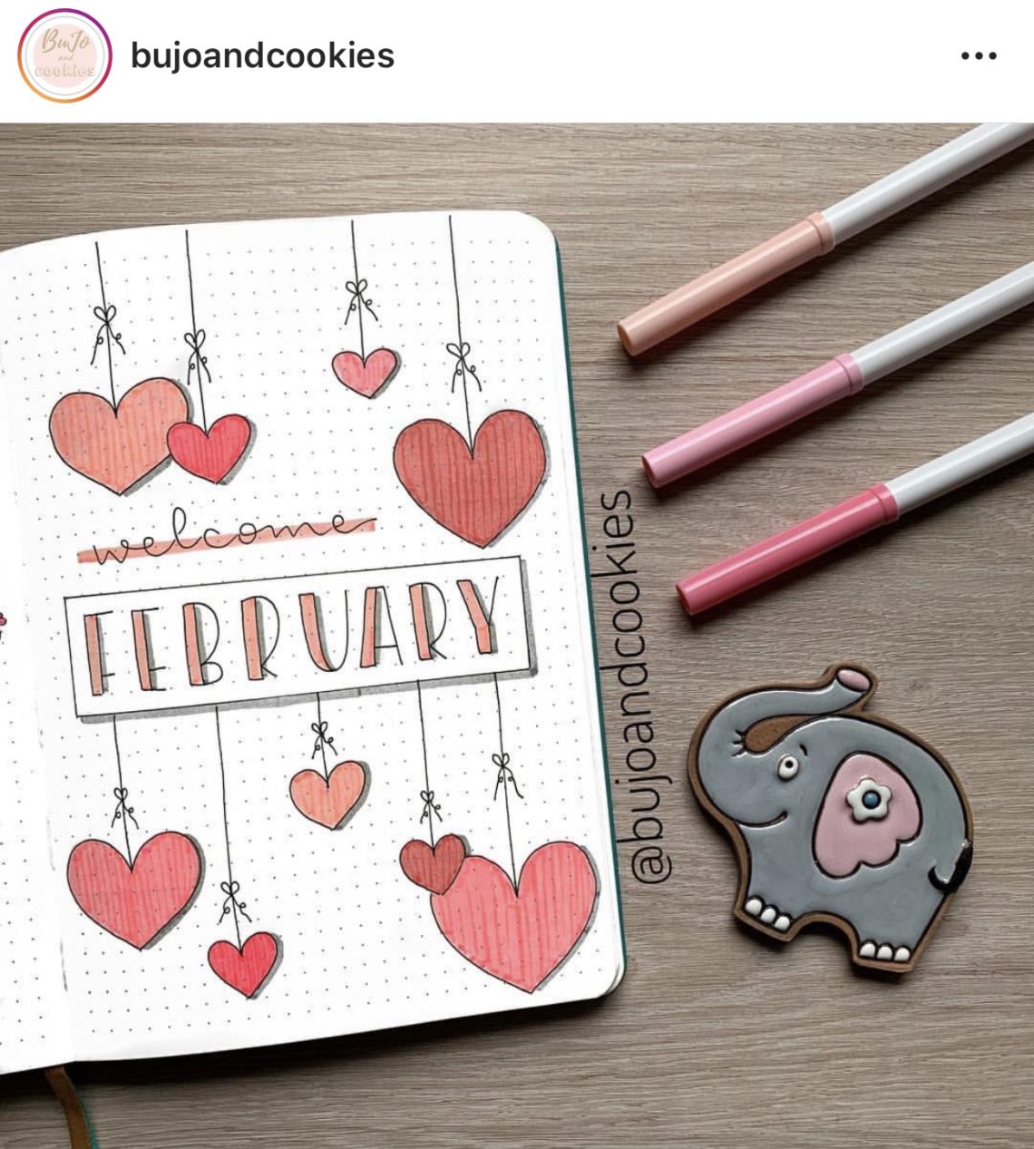 February Bullet Journal Inspiration - Rae's Daily Page